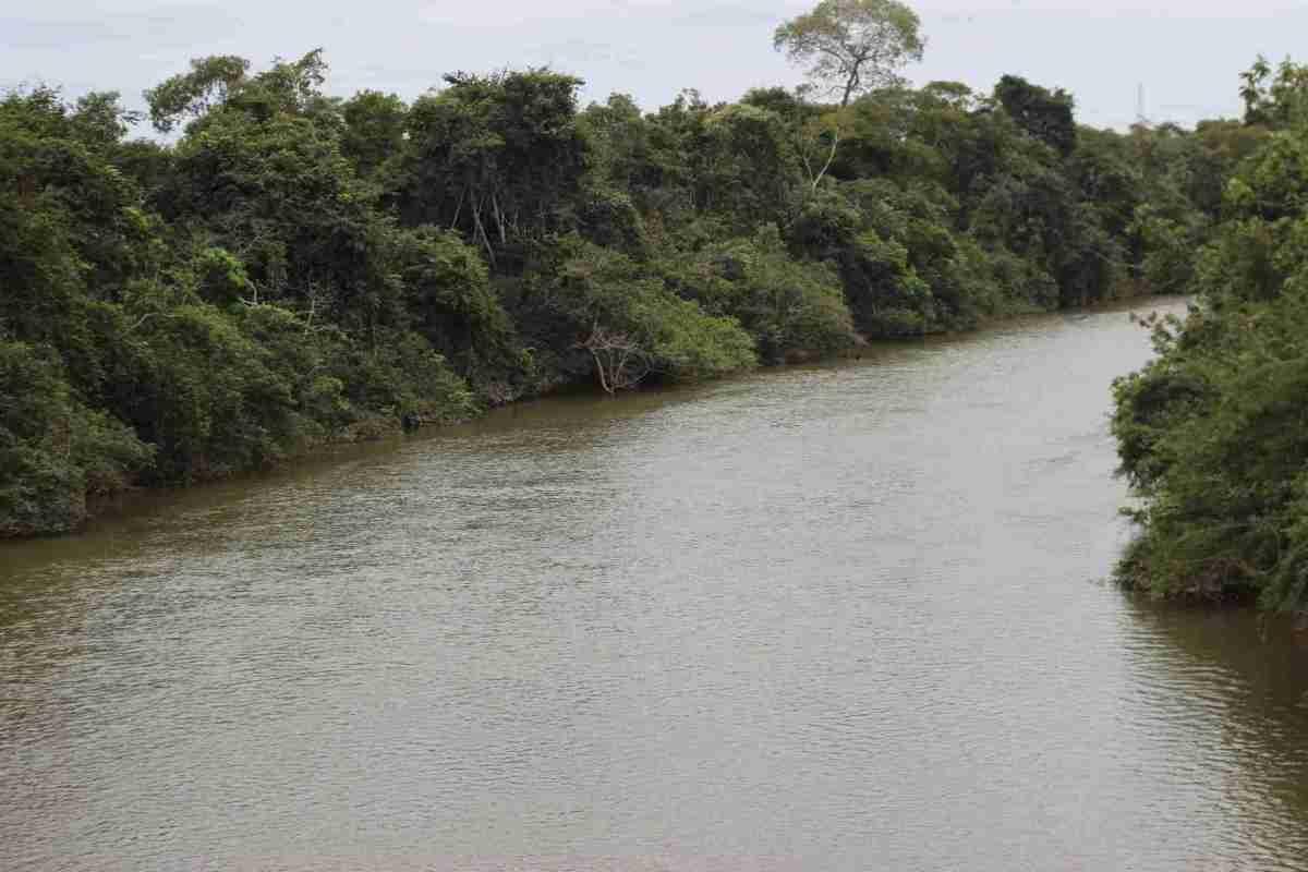 Especial Pantanal Ameaçado: Rio Cabaçal uma das últimas regiões livres ...
